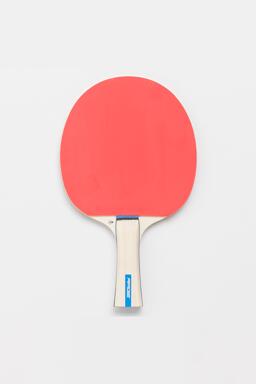 Ping-Pong | SPORT ZONE
