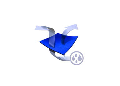 Qué es el Dri FIT | Sprinter